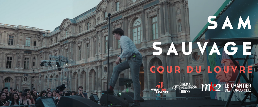 Sam Sauvage - Cour du Louvre - What the France